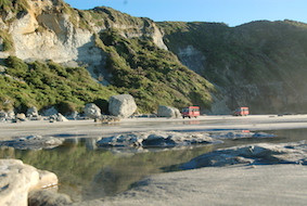 Activities - Online Bookings for Farewell Spit Tours, Golden Bay - RTBS